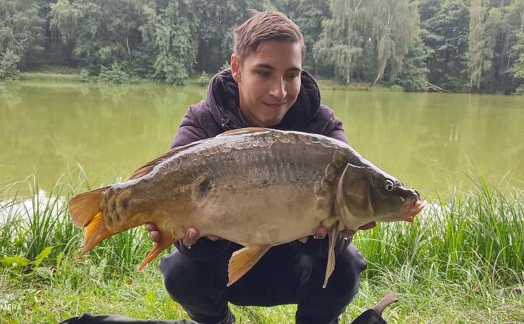 Kapr obecný | Nový rybník - Staré Splavy